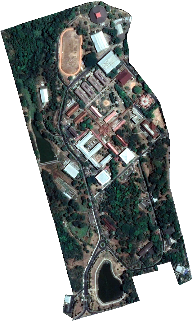 Flora of ITB Jatinangor [First Release]